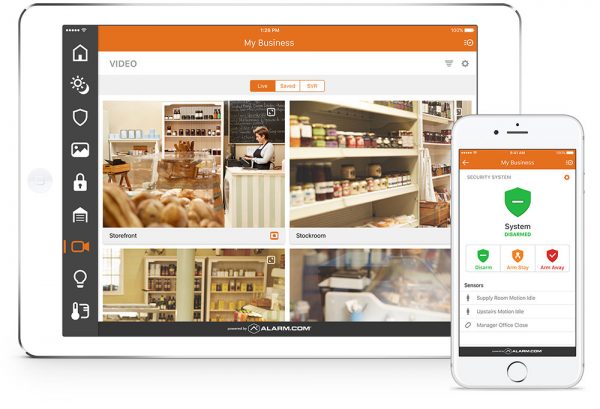 Small Business Solutions - Schmidt Security Pro
